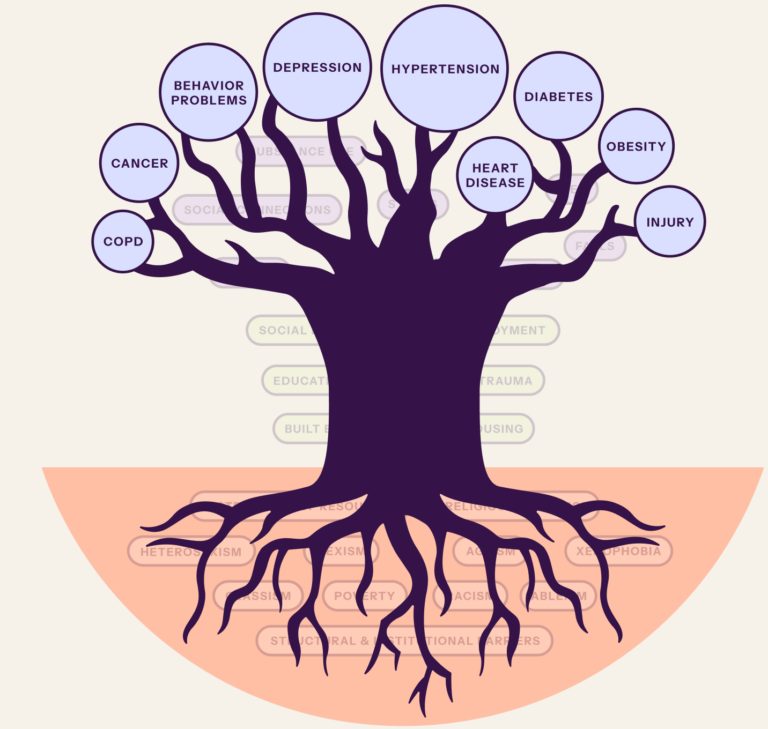 The health tree metaphor and the importance of shared language - HRiA