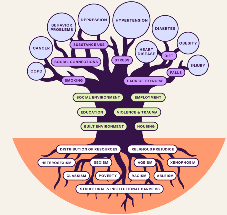 The Health Tree Metaphor and the Importance of Shared Language - HRiA